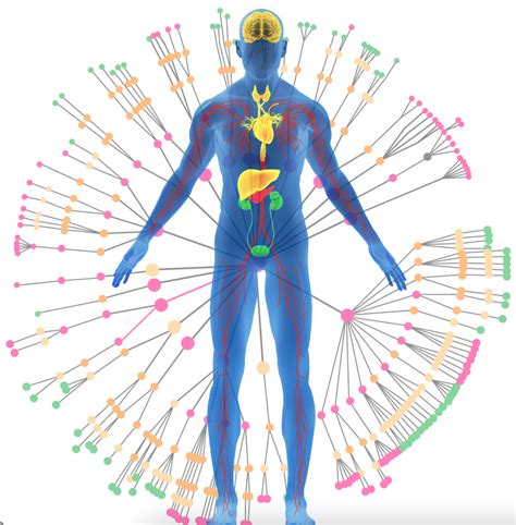 Twin Health Helena Projects Helena Helena
