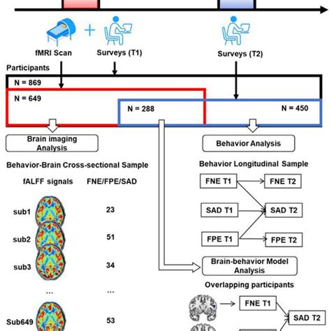 A Schematic Overview Of The Samples Structure And Analysis Pipeline Download Scientific Diagram