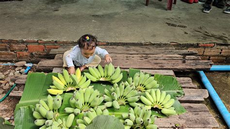 បន្ទប់ជួល ផ្ទះជួល កំពង់សោម ក្រុងព្រះសីហនុ House For Rent 房间出租 房屋出租 ចេកធម្មជាតិ💯💯💯បងប្អូនអើយ