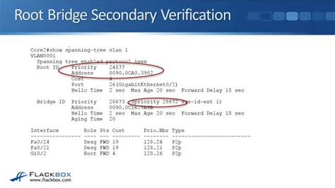 spanning tree root bridge election on cisco switches flackbox