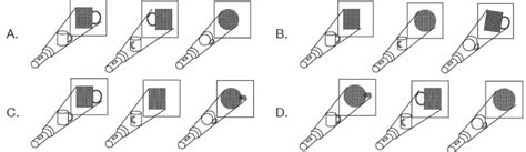 MCQ Questions Class 3 Science