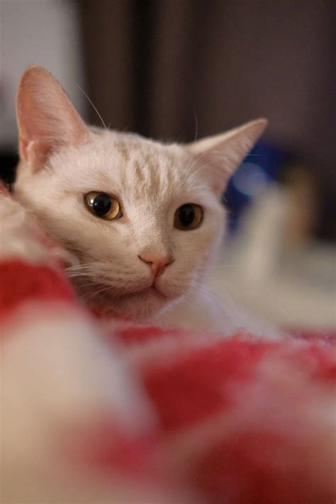 凝视 Edp老张 富士胶片影赛 Fujifilm