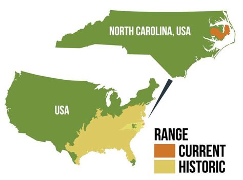 Red Wolf Habitat Map