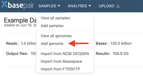 Uploading A Custom Genome Basepair Support