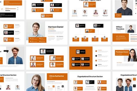 Organization Structure Incl Business And Structure Envato