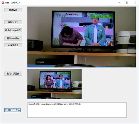 OpenCv Delphi VCL