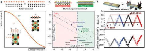 In‐plane Mode A Strain Caused By Lattice Mismatch For A Tmd