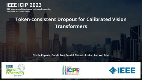 Token Consistent Dropout For Calibrated Vision Transformers Ieee