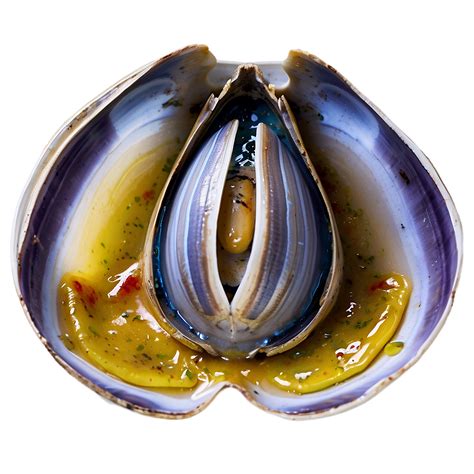 Clam Png Png Images 200