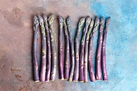어두운 콘크리트 배경에 건강한 채식 음식을 요리하기 위해 갓 수확 한 생 유기농 보라색 아스파라거스 창 계절에 대한 스톡 사진 및 기타 이미지 Istock