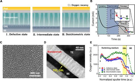 Structural Characteristics Of Anodic Tio 2 Memristor With Np Dbl A Download Scientific