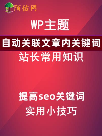 陌佑网 Wp主题 自动关联文章内容关键词 生成标签 优化seo转化 陌佑网