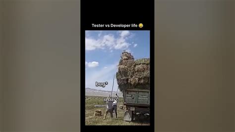 Tester Vs Developer Life Shorts Developer Shortsvideo Youtube