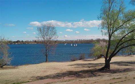 Київзеленбуд спростував інформацію про масову вирубку дерев на Оболоні Вечірній Київ