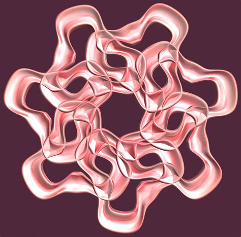 무료 이미지 손 구조 조직 꽃잎 연기 심장 무늬 인간의 몸 세례반 미술 삽화 디자인 대칭 3d 그래픽 오르간 큰 쇠시리 수학자 Cg