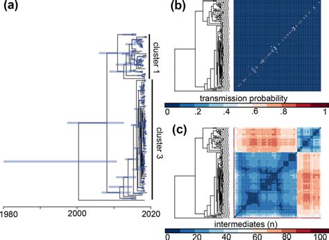 Reconstruction Of Temporal Evolution And Transmission Patterns In The