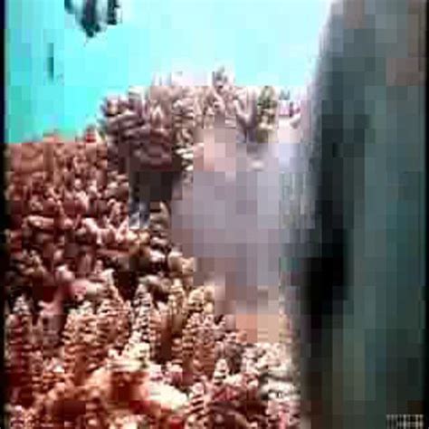 Plastic Detection Object Detection Dataset And Pre Trained Model By Yolo