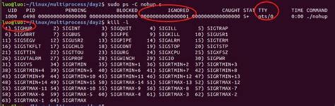 骆小刚 linux后台服务启动方式systemd、daemon、nohup大比拼 csdn博客