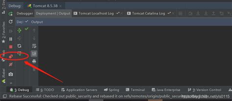 Method Breakpoints May Dramatically Slow Down Debugging 在启动idea项目时报错
