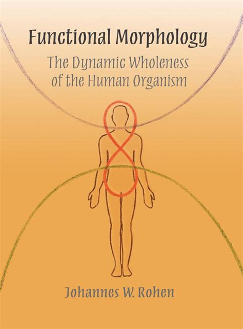 Jcdd Free Fulltext Functional Morphology Of The
