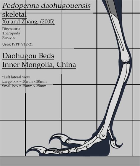 Pedopenna Skeletal Ppaleoartistgallery On Tumblr