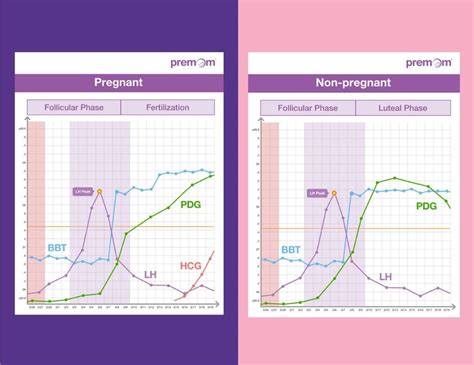E3g Hormone Levels Chart Minimalist Chart Design