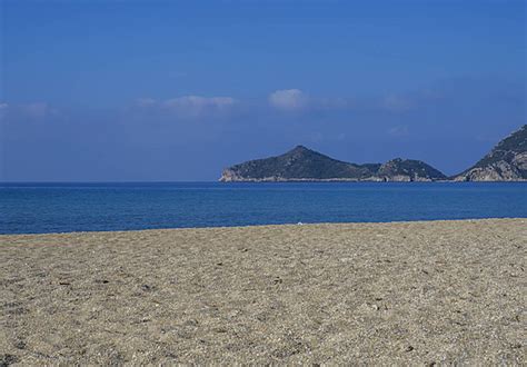 Pagon Background Images HD Pictures And Wallpaper For Free Download