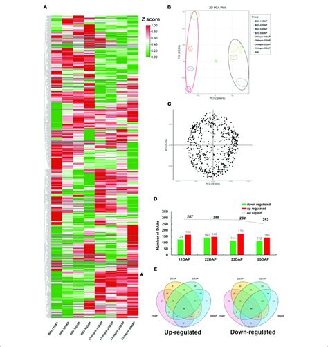 Metabolome Data Analysis In C Annuum Cv Bb3 And The Progenitor Download Scientific Diagram