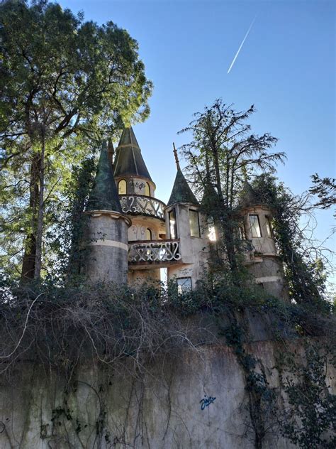 무료 이미지 큰 하늘 건물 창문 나무 정면 터릿 작은 가지 지붕 첨탑 뾰족한 탑 영주의 집 중세 건축 성 겨울 교회에 식물 예배당 시티