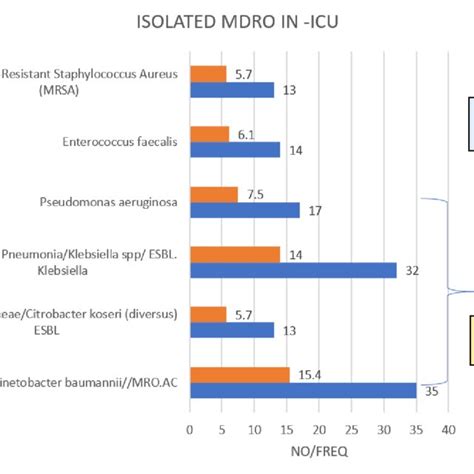 Most Common Isolated Multi Drug Resistant Organisms Mdro In Sepsis