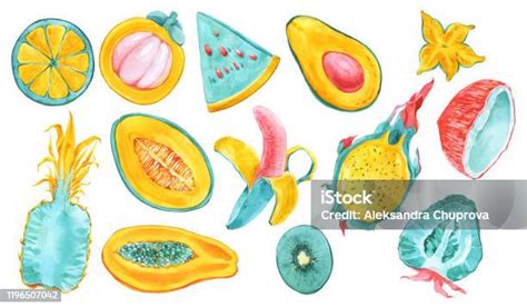 열대 과일 세트입니다 트렌디 한 여름 색상 이국적인 과일 세트입니다 드래곤 과일 피타야 망고스틴 카람볼라 스타프루트 파파야 아보카도 바나나 키위 코코넛 민트 옐로우 레드 핑