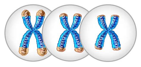 The Science Behind Aging And Age Deceleration Optwel