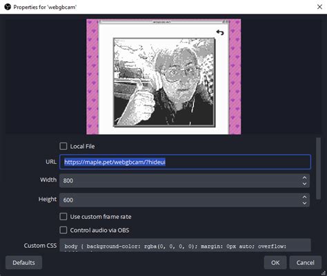 Using Webgbcam In OBS Mavica S Corner