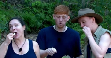 Angry Ginge ‘flooded With Dms From Admirers As Pal Lifts Lid On Streamers Im A Celeb Journey