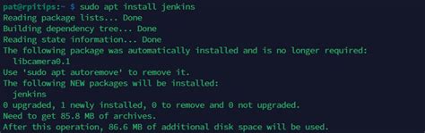 How To Install Jenkins Server On Your Raspberry Pi RaspberryTips