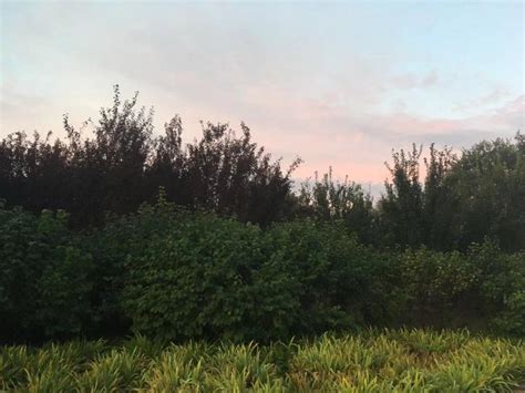 Cmake：生成静态库和动态库 知乎