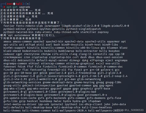 kali升级操作系统 csdn博客