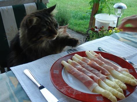 В гостях в бельгийской деревне Geoblogger — Livejournal