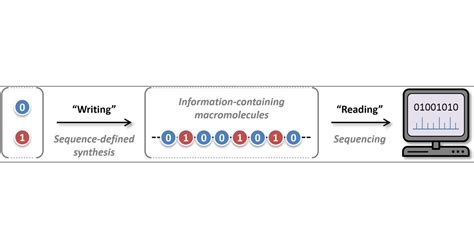 Polymers And Monomers Of Macromolecules