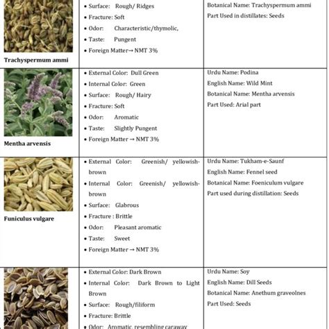 Presentation Of E Coli Salmonella Staphylococcus Aureus Total Download Scientific Diagram