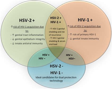 Living With Hiv And Other Lgbtq Issues Herpes Simplex Virus And Hiv 1
