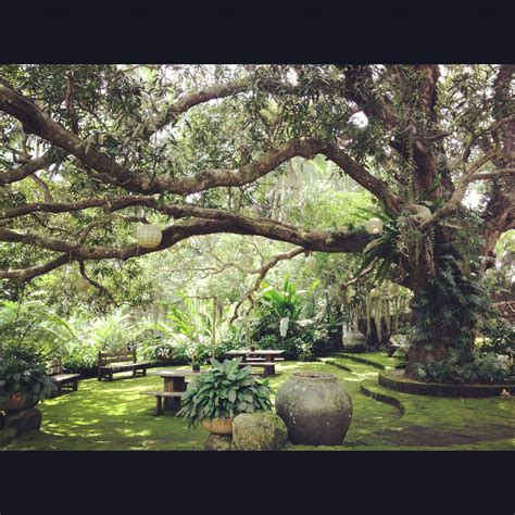 Best Trees For Small Gardens Philippines At Laura Mullen Blog