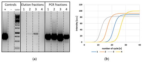 Electrophoresis Graph