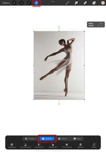 Learn How To Trace On Procreate In 7 Easy Steps