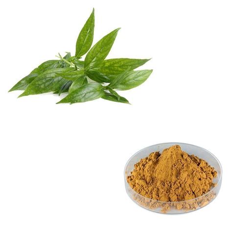 Andrographis Paniculata Extract 10 1 Tlc Hongda Online More Than 25 Years Herb Extract