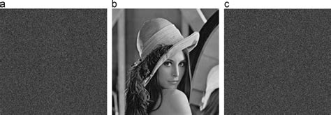 The Double Random Phase Encoding Used By The 2d Transform Kernel Matrix