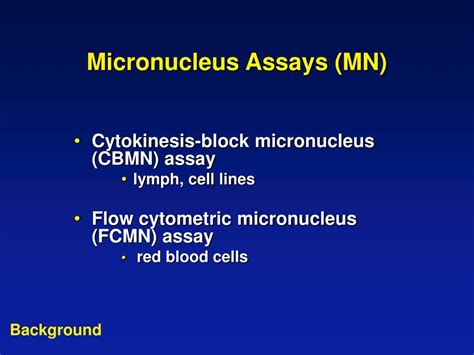 Ppt Wet Lab Radiation Damage Measured By Micronucleus Mn Assay