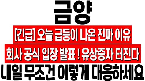 금양 주가 전망 오늘 급등이 나온 진짜 이유 회사 공식 입장 발표 유상증자 터진다 금양 주식 분석 금양 유상증자