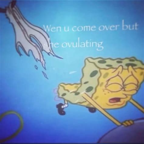 Ovulation In 2024 Memes Disney Memes Cat Memes