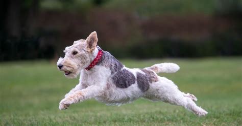 Diarmuid Buckley On Linkedin How Fast Can I Launch Multiple Oci